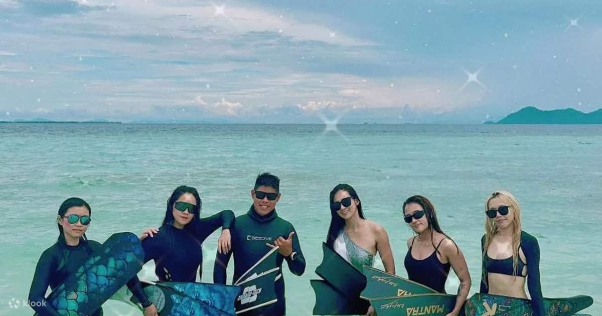 哥打京那巴鲁 PADI 自由潜水训练日期待您的到来 - Klook客路